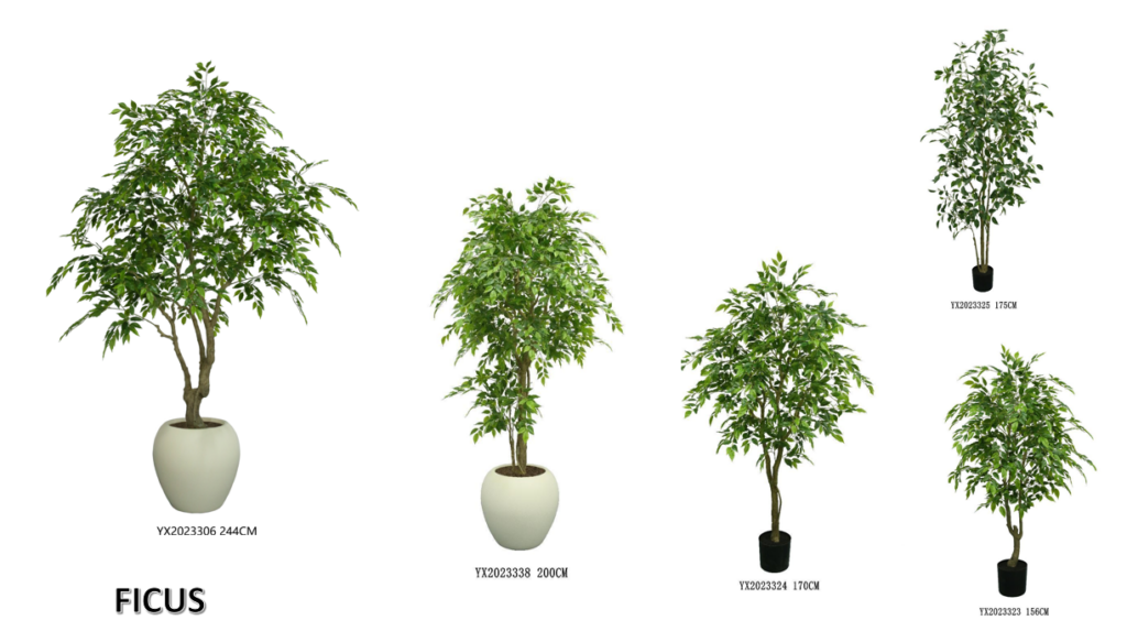 FAUX MINI FICUS